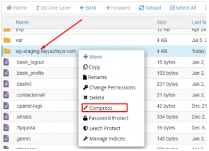 How to Backup a WordPress Website Manually Using cPanel • WP STAGING