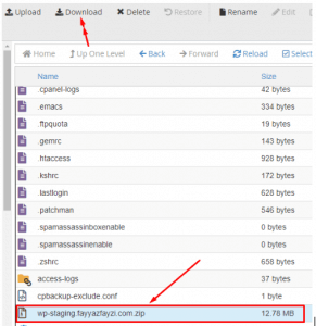 How to Backup a WordPress Website Manually Using cPanel • WP STAGING