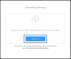 How to Backup and Restore WordPress • WP STAGING