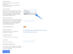 Grant Custom User access to the Staging Site • WP STAGING
