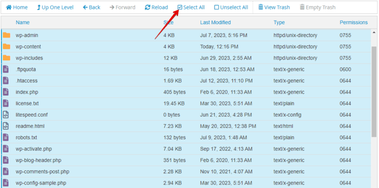How To Move WordPress From A Subfolder To The Root Directory?