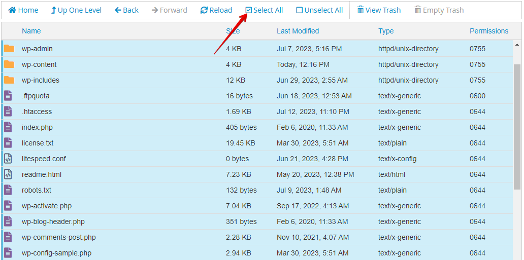 How To Move WordPress From A Subfolder To The Root Directory?
