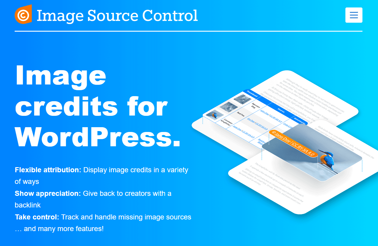 How to Reduce Your Backup Size by Removing Old Images • WP STAGING